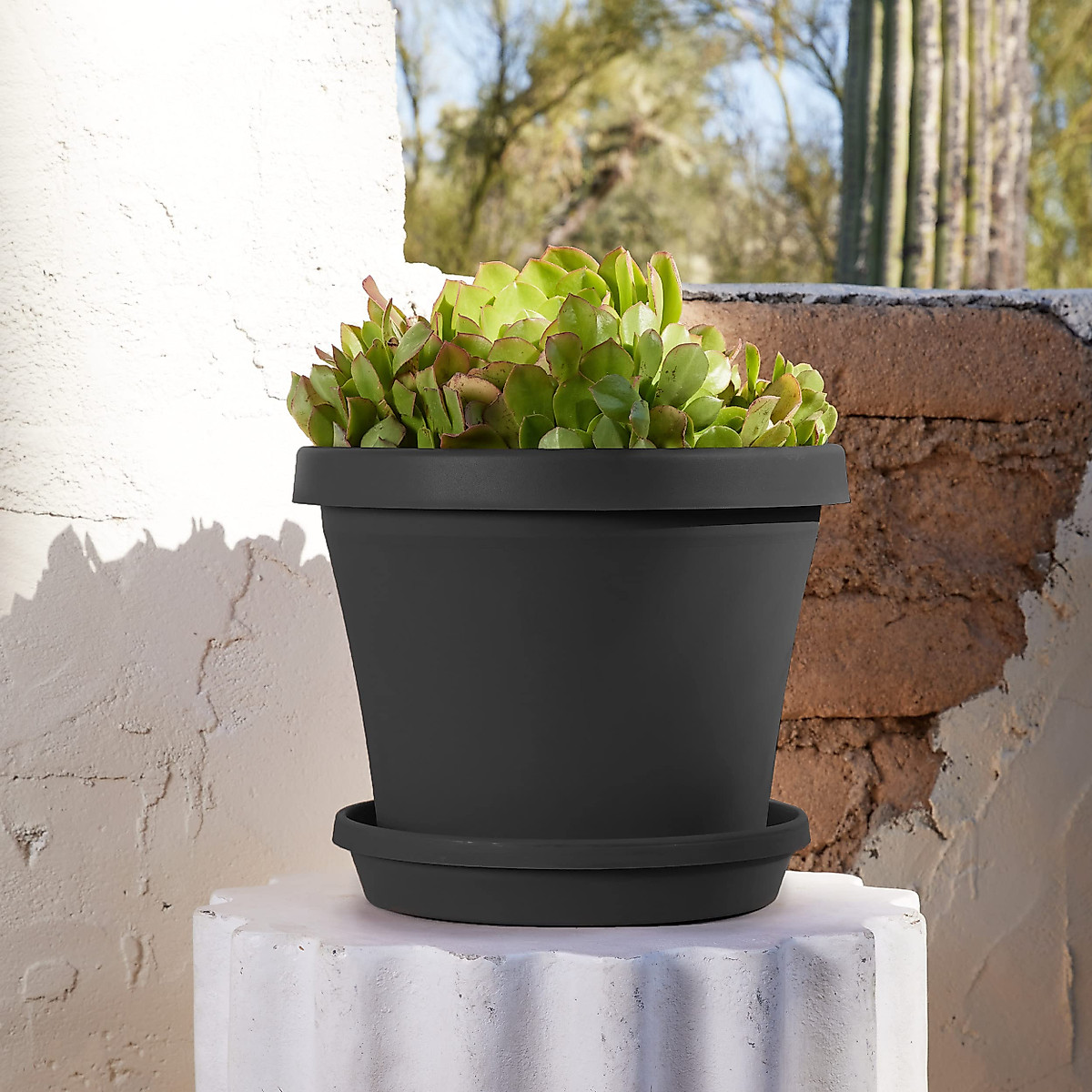 Bloem Terra Pot Planter: 14" - Black - Durable Resin Pot, for Indoor and Outdoor Use, Gardening, 5 Gallon Capacity, Saucer Sold Separately