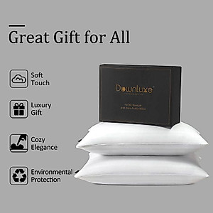 downluxe Goose Down Pillows - Hotel Collection Feather Pillows Set of 2 for Back, Stomach or Side Sleepers, Queen Size (20"x28")