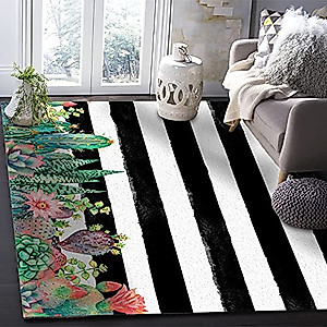 Olivefox 3x5 Feet Floor Mat Area Rug, Cactus Watercolor Black and White Stripes Runner Indoor Carpet, Non Skid Rug Accent for Living Room, Hallway, Kitchen, Office HSM-2021-5-13-JJXT-SHZF02827MDKAOLX