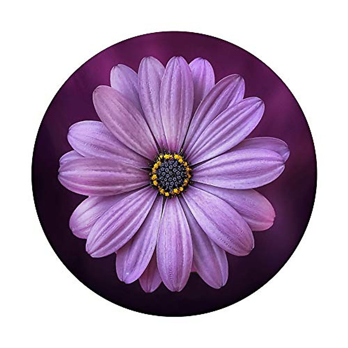 Purple Daisy Flower For Women PopSockets Swappable PopGrip