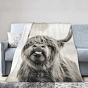 Billichase Highland Cow Blanket Portrait of Cow Pattern Flannel Fleece Throw Blanket Scotland Scottish Horns Bull Cattle Blankets for All Seasons for Couch Bed Sofa 50 X 40 Inches