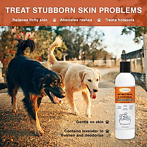 Healthy Paw Life Classic's Lime Sulfur Pet Shampoo - Pet Care and Veterinary Solution for Itchy and Dry Skin - Safe for Dog, Cat, Puppy, Kitten, Horse