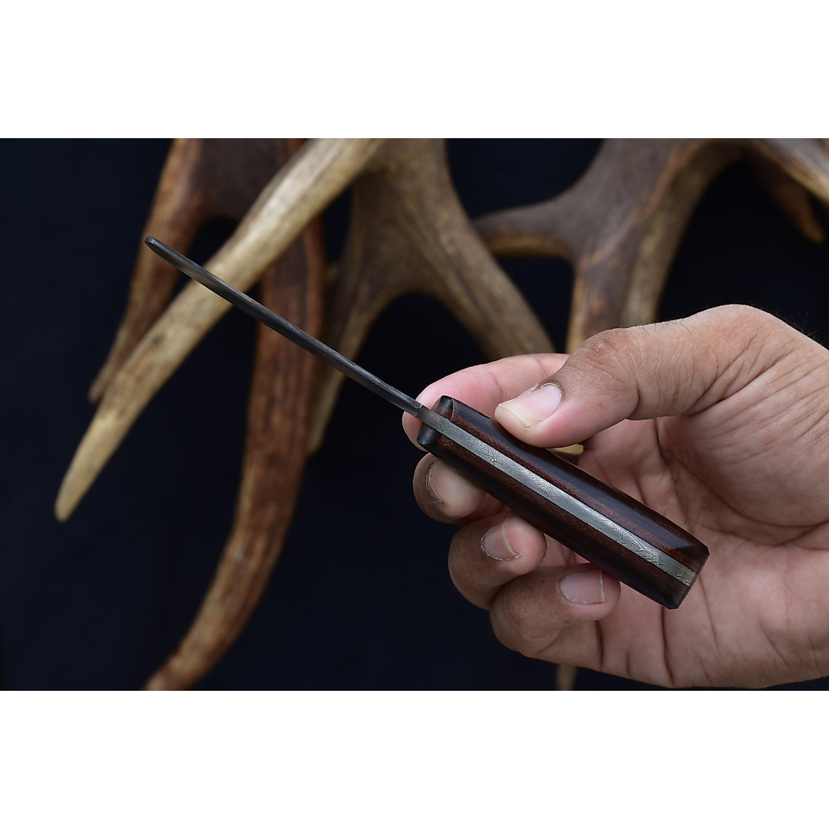 Knives Ranch Damascus Steel Small Castrator with Indian Rosewood Handle Dual Carry Vertical or Horizontal Cowboy Crossdraw Leather Sheath (3177-IRW)