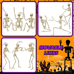 Skeleton Halloween Decoration, 3 Packs 16" Posable Halloween Skeletons, Full Body Posable Joints Skeletons for Halloween Hanging Skeleton Decoration, Haunted House, Graveyard Decorations