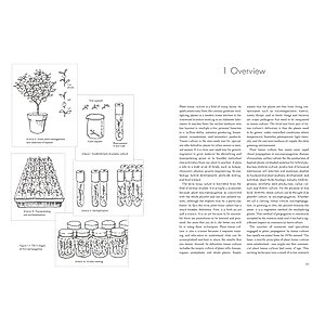 Plants from Test Tubes: An Introduction to Micropropogation