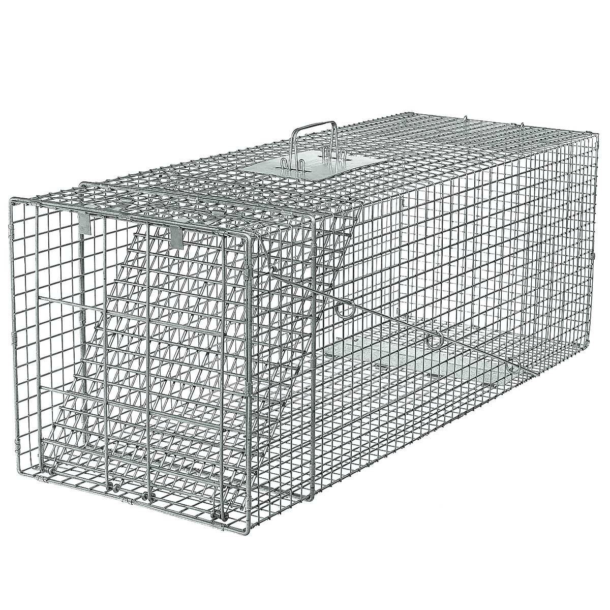 Havahart 1081 Live Animal Professional Style One-Door Large Raccoon, Small Dogs, and Fox Cage Trap-Made in the USA