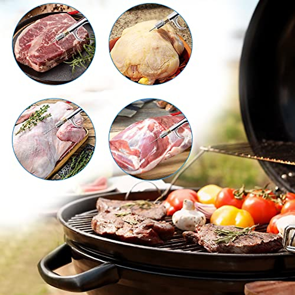 Meat Injector Gun Pump with Hose, Stainless Steel Electric Marinade Injector 70W Meat Syringe Double Gun with 10 Needles for Roast Turkey, Pork, Beef (Double Gun)