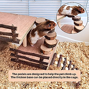 Hamster Climbing Toys Wooden Two-Tier Hamster Playground Activity Platform with Bridge Apple Wood Chewing Toys for Small Pets (Large)