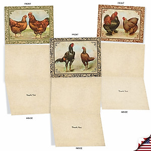 The Best Card Company - Boxed Set of 10 Bird Thank You Notecards with Envelopes 4 x 5.12 inch, Feathered Animal Gratitude - Card-A-Doodle-Do M2351TYG