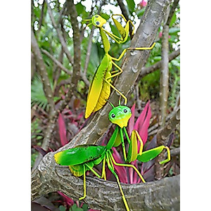 GIFTME 5 Metal Mantis Garden Yard Art Decor Set of 2 Lawn Patio Tree Ornaments Sculpture