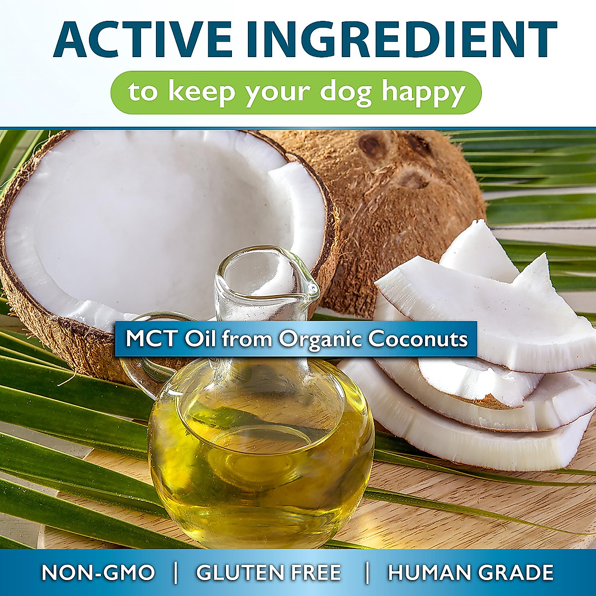 Nutrition Strength MCT Oil for Dogs from Organic Coconuts, Medium Chain Triglycerides with Caprylic Acid & Capric Acid to Protect Skin and Coat, Boost Immunity, Support Metabolism, 90 Soft Gels