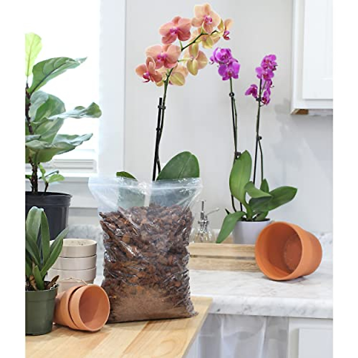 Orchid Potting Bark, Douglas Fir Bark 4qt Bag, Great for Re-Potting Orchids, Adding to Gardens, or Terrariums!