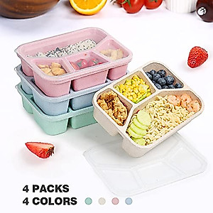 4 Pack Bento Lunch Box, 4 Compartment Meal Prep Containers, Lunch Box for Kids, Durable BPA Free Plastic Reusable Food Storage Containers - Stackable, Suitable for Schools, Companies,Work and Travel