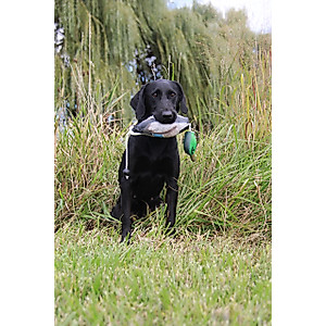 HuntEmUp Ultimate Duck Dog Training Dummy - Retriever Fowl Dead Mallard - Ideal for Effective Retrieving Training