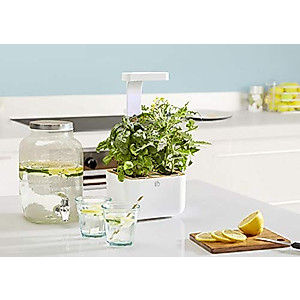 Véritable Botaneo Eylo Garden - Indoor Garden - Kit with 2 Lingot Automatic LED Lighting