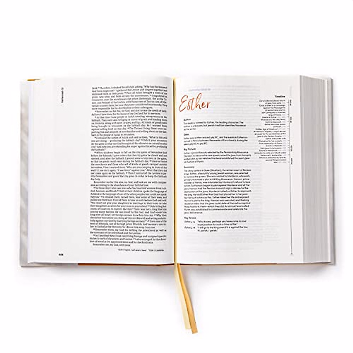CSB Lifeway Women's Bible, Camel Cloth Over Board, Black Letter, Single-Column, Wide-Margins, Devotions, Articles, Word Studies, Character Profiles, Easy-to-Read Bible Serif Type
