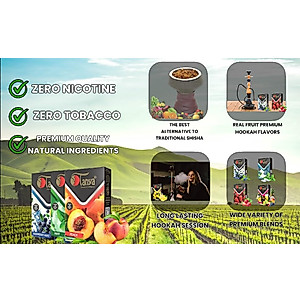 Tanay Herbal Hookah Molasses Fruit Mix Hookah Shisha Flavors, Premium Tobacco & Nicotine Free, Fruit Variety Pack, 50-Gram Packs (Pack of 6)