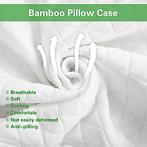 ASHOMELI Pillows Queen 2 Pack Shredded Memory Foam Pillows Cooling Adjustablefor Sleeping Good for Side and Back Sleeper with Washable Removable Cover