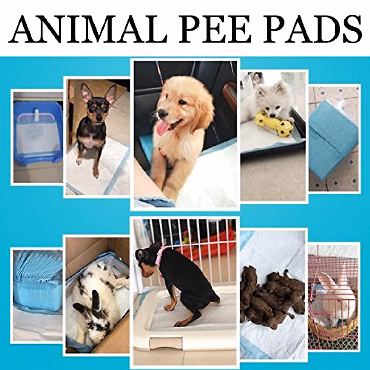 kathson Rabbit Pee Pads Disposable Cage Liners Super Absorbent Black Carbon Odor-Control Bunny Training Pad with Quick-Dry Surface for Bunny Guinea Pig Kitten Hedgehog Small Animals (100 pcs Gray)