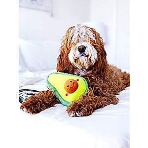 ZippyPaws Zp902 Nomnomz Avocado Dog Toy