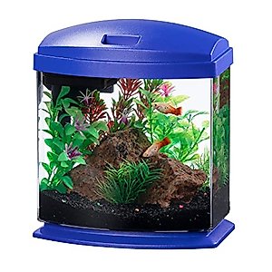 Aqueon 00800197: Aquarium Kit Mini Bow Led Blue 1G