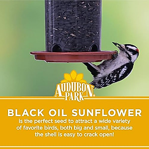 Audubon Park 10427 11286 Black Oil Sunflower Seed Wild Bird Food, 20 lb