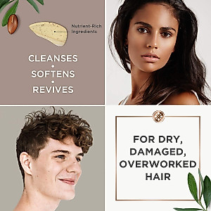 Argan Magic Ultra Nourishing Shampoo - Argan Oil and Antioxidants to Nourish and Restore Damaged and Over-Processed Hair Types | Made in USA, Paraben Free, Cruelty Free (32 oz)