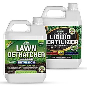 PetraTools Liquid Dethatcher (32oz) and Liquid 16-4-8 Lawn Fertilizer (32 oz)