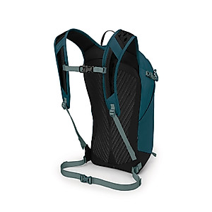 Osprey Sportlite 15 Hiking Backpack, Night Jungle Blue