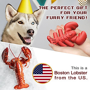 Piuiafey Lobster Dog Toys, Interactive Dog Toys for Aggressive Chewers & Indestructible Dog Chew Toys for Medium/Large Dogs, Great Gift for Pet Day &Mother's Day