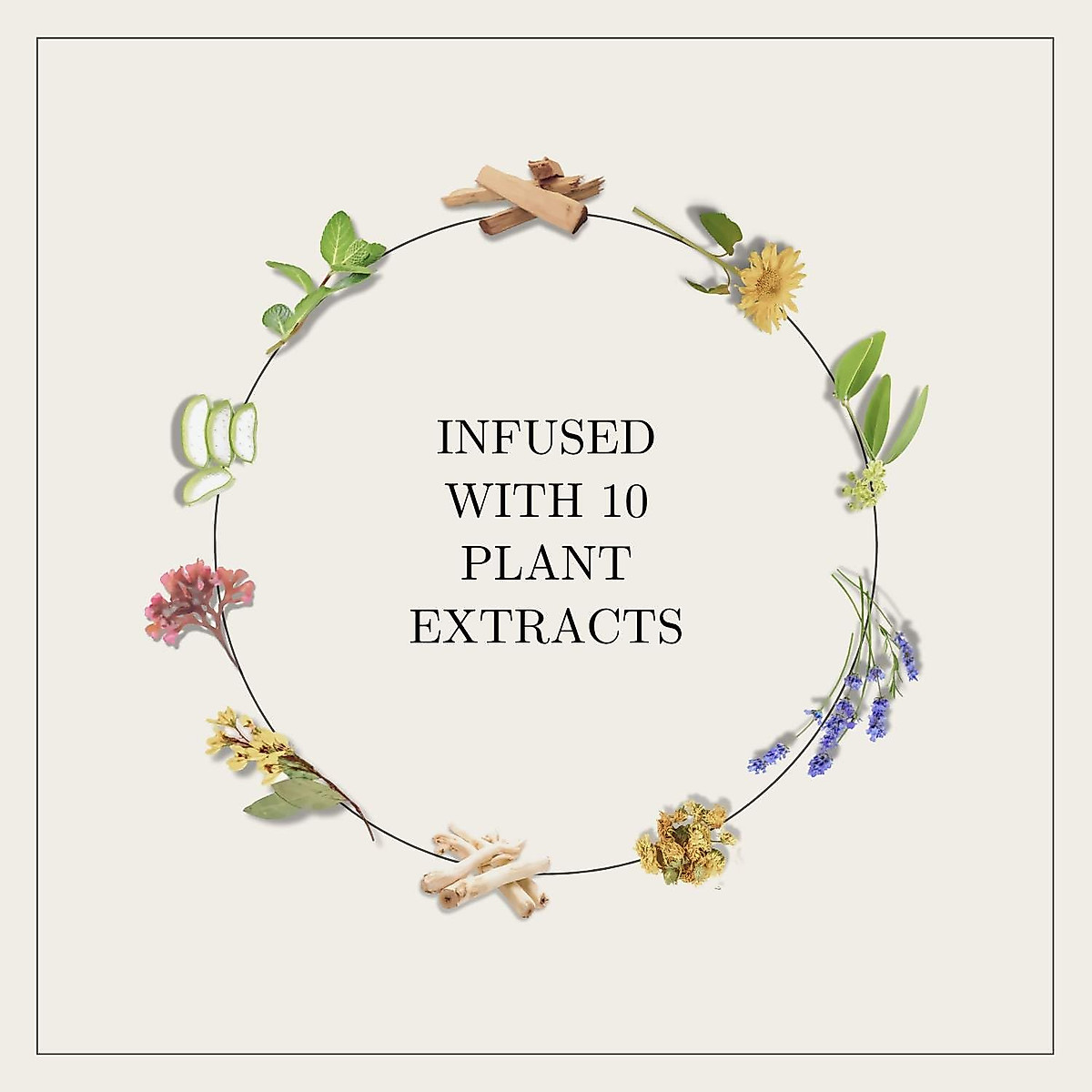 Orange Blossom Alcohol-free Perfume Fine Fragrance Mist by Body Botanic 5 Fl Oz 148 mL - Formulated with Botanicals and the Dreamy Fragrance of Orange Blossoms in Full Bloom