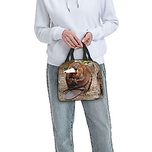 Larklitz Cute Funny Beaver Reusable Insulated Lunch Bag, 8.5in x 8in x 5in, Polyester, For Women Men