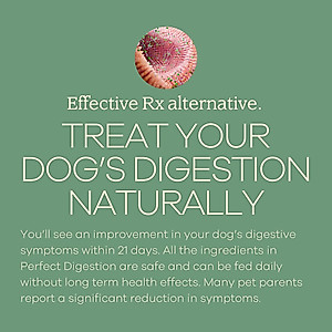 Perfect Digestion by Yumwoof - Non-GMO, Human-Grade Dog Food Topper