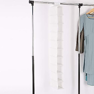 Closet Hanging Organizer 10-Shelves Mainstay