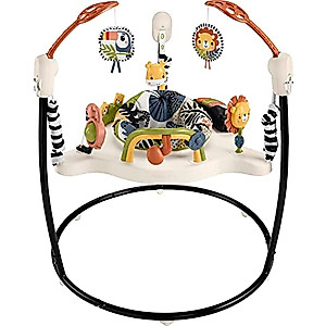 Fisher-Price Baby Bouncer Palm Paradise Jumperoo Activity Center With Music Lights Sounds And Developmental Toys