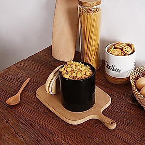 LEETOYI Ceramic Food Storage Jar with Seal Lid, Serving for Ground Coffee, Tea, Sugar, Salt and More - 31 Oz (Black)