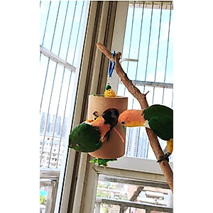 GJRGEG1Y Parrot Release Toy Natural Bird Nest with Color Paper Inside Helps Parrot Develop Intelligence Sturdy and Durable Bird Toy