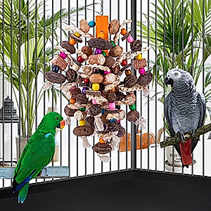 Deloky Large Parrot Bird Chewing Toys-Natural Nuts Corn Parrot Tearing Toy-Wooden Bird Cage Toy for African Grey,Macaws Cokatoos,Amazon Parrots and Other Large Birds