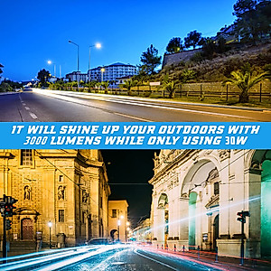 Bluex Bulbs Corn Bulb 30W 5000K 2 Pack BlueX 250W Bulb - 300W Bulb Equivalent, 30W LED Corn Light Bulb Cool White 5000K E26 Base 3000 Lumens 300 Watt Light Bulb