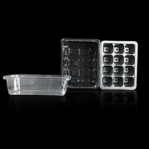 12 Grow Trays with Humidity Dome and Cell Insert - Mini Propagator for Seed Starting and Growing Healthy Plants - Durable, Reusable and Recyclable – 10 Pack – 120 Cells (12 Grow Trays)