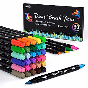 Lelix 30 Colors Dual Tips Brush Pens Art Markers, Brush and Fine Point Pens for Adults Kids Coloring Books Drawing Calligraphy Journaling Lettering