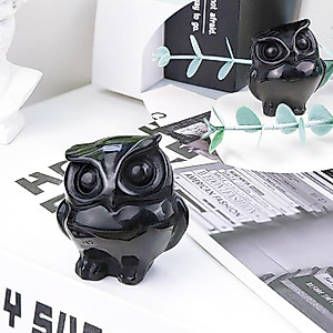 QINJIEJIE Black Obsidian Crystals Owl Figurines Natural Carved Stone Decor Polished Gemstone Statue Home Desk Gem Guardian Sculpture Room House Office Decorations Spiritual Owl Gifts for Women Men