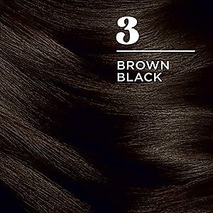 Clairol Nice'n Easy Permanent Hair Dye, 3 Brown Black Hair Color, Pack of 3