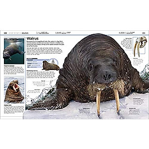 Knowledge Encyclopedia Ocean! (DK Knowledge Encyclopedias)