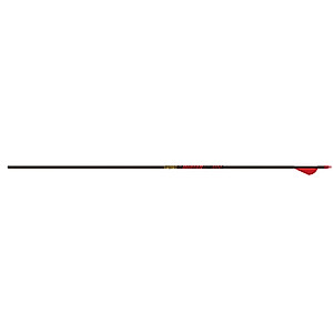 Gold Tip Hunter Arrows with Raptor Vane (Pack of 6), Black, 500