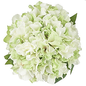 Pure Garden Hydrangea Floral Arrangement in Vase - 5-Count Artificial Flowers with Leaves in Faux Water-Filled Decorative Clear Glass Bowl (Green)