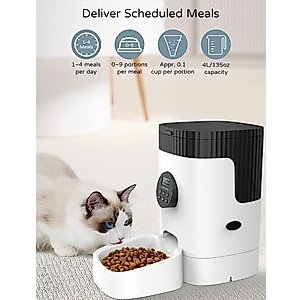 SHANDII Automatic Cat Feeder, 4L Programmable Pet Food Dispenser with Timer and Portion Control, 1-4 Meals per Day, Button-Lock Lid with Desiccant Bag, 10s Voice Recorder, BF40