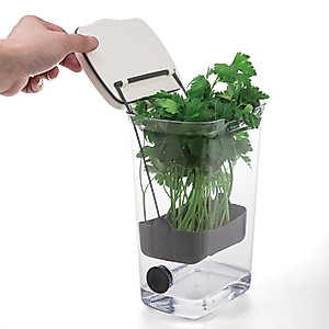 Progressive International PKS-930 BPA-Free Plastic ProKeeper Herb Keeper with Removable Silicone Drain Plug, 1 Piece, White