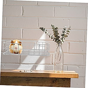 Hamster Platform Small Animal Cages Squirrel Toys Pet Toys Small Animal Habitat Ferret Hammock Hamster Ladder Hamster Supplies Iron Chinchilla Toy Decorative Chinchilla Toy White