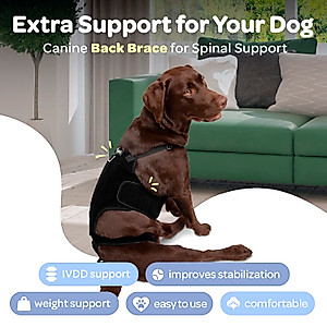 Labra Dog Canine K9 Back Brace - IVDD Spine Pain & Spinal Injury, Arthritis, Bulging Discs Brace for Corgis, Dachshund, Post Surgery Recovery, Rehab, Inflammation - Small